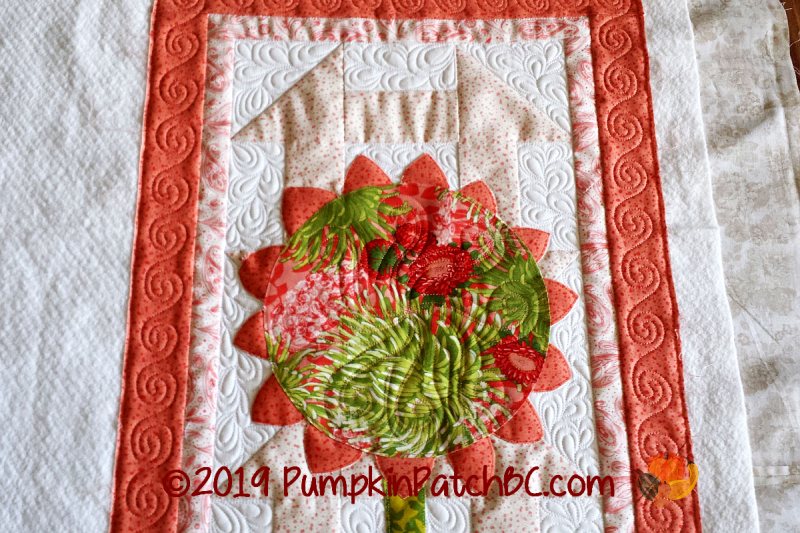 Rising Sun - Pumpkin Patch