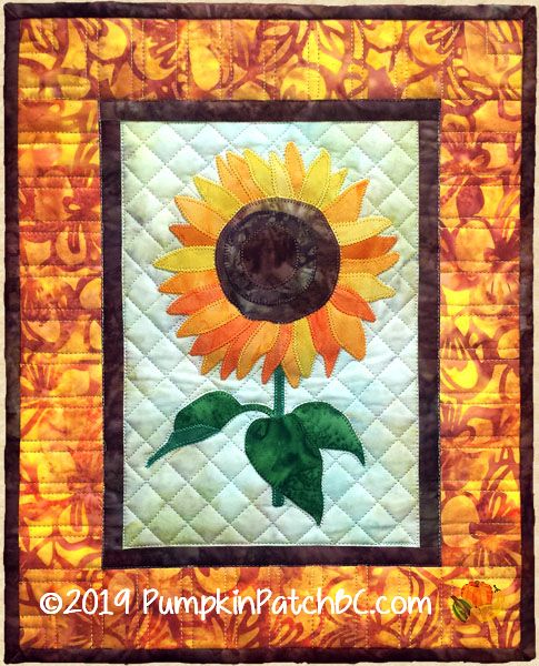 Sunflower - Pumpkin Patch