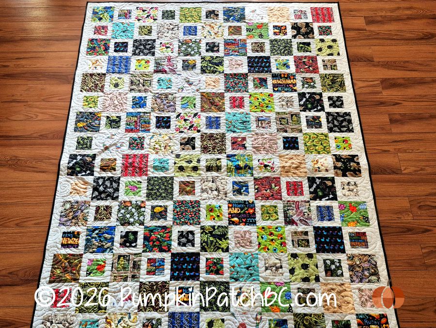The Finished Quilt – Kiwiana Scrappy Squares - Pumpkin Patch